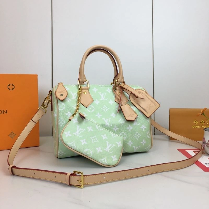 Inexpensive Louis Vuitton Speedy Bags
