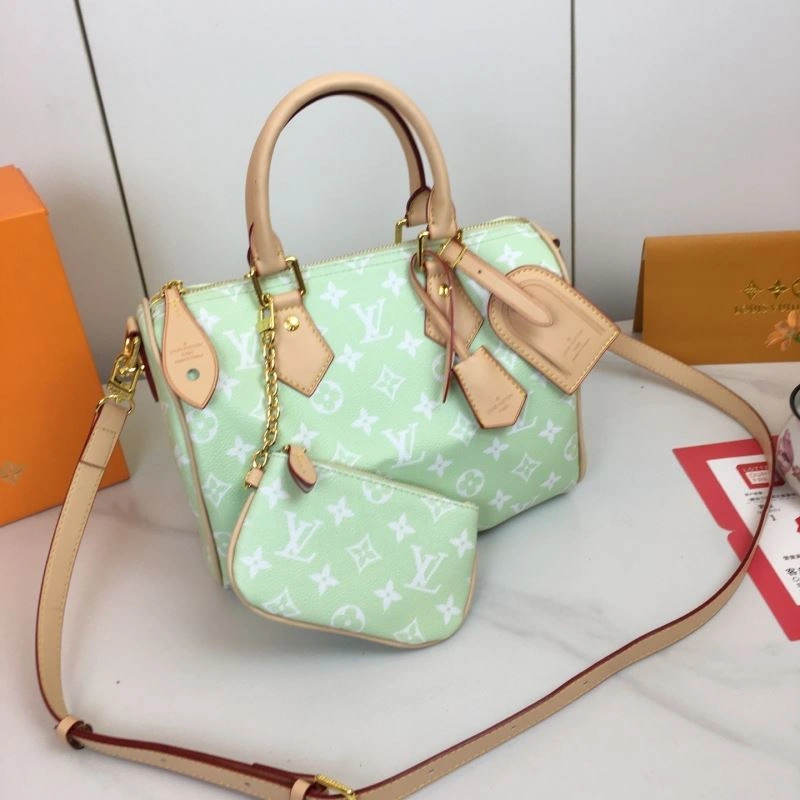 Inexpensive Louis Vuitton Speedy Bags