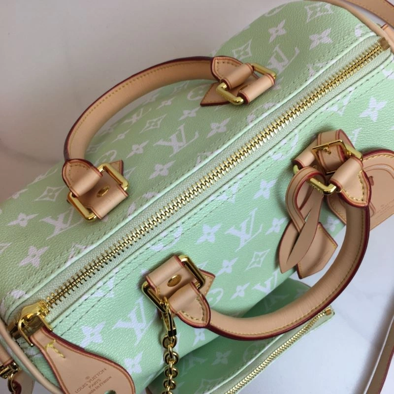 Inexpensive Louis Vuitton Speedy Bags