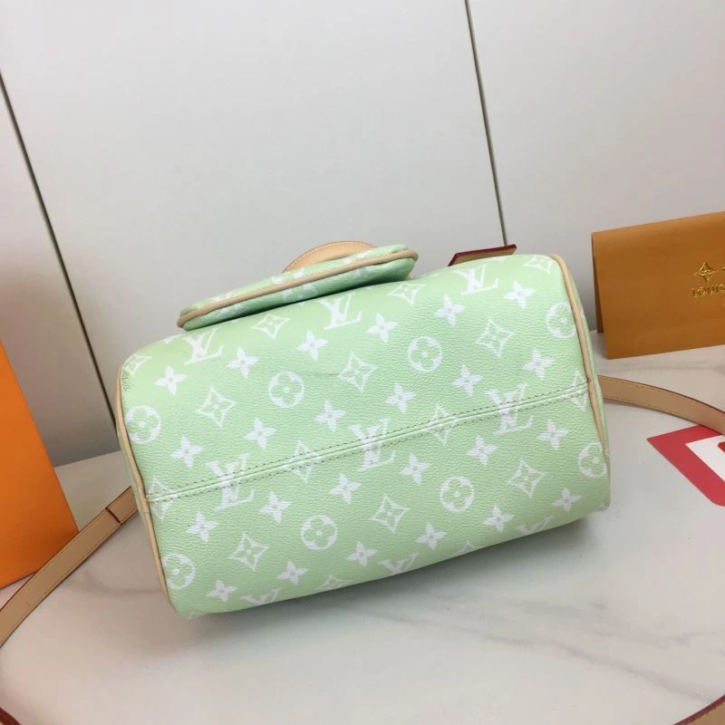 Inexpensive Louis Vuitton Speedy Bags