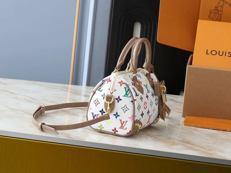 Accurate model Louis Vuitton Speedy Bags