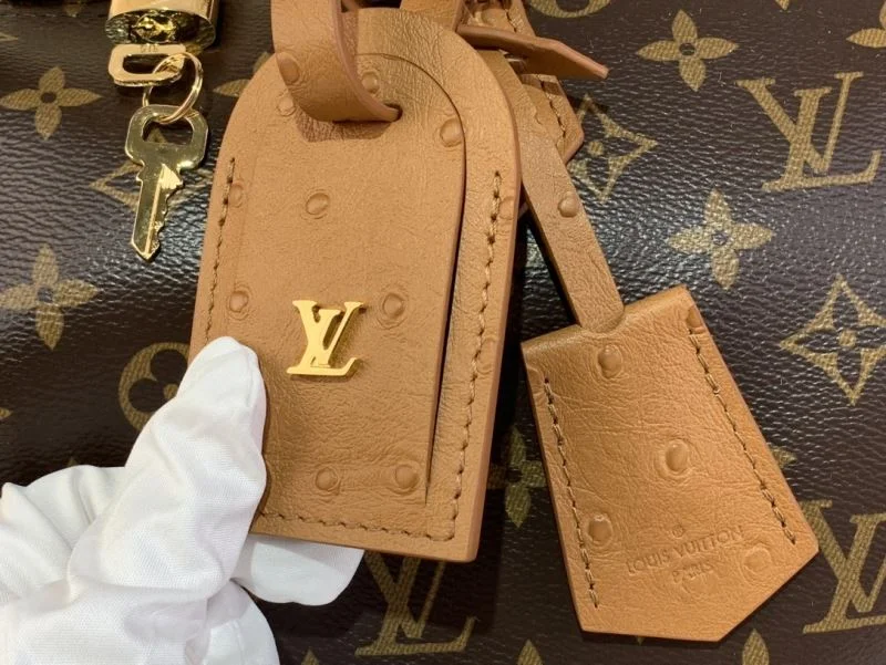 Mirror quality Louis Vuitton Speedy Bags