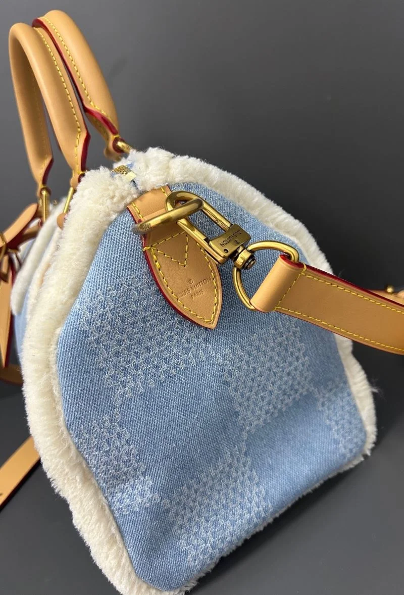 Economical Louis Vuitton Speedy Bags