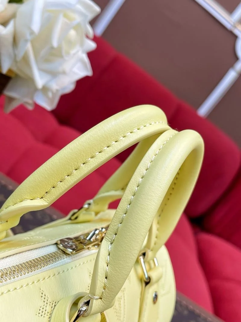Accurate model Louis Vuitton Speedy Bags