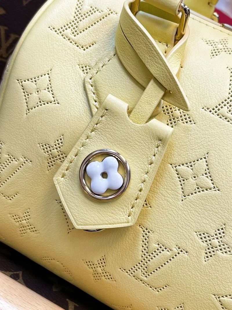 Accurate model Louis Vuitton Speedy Bags