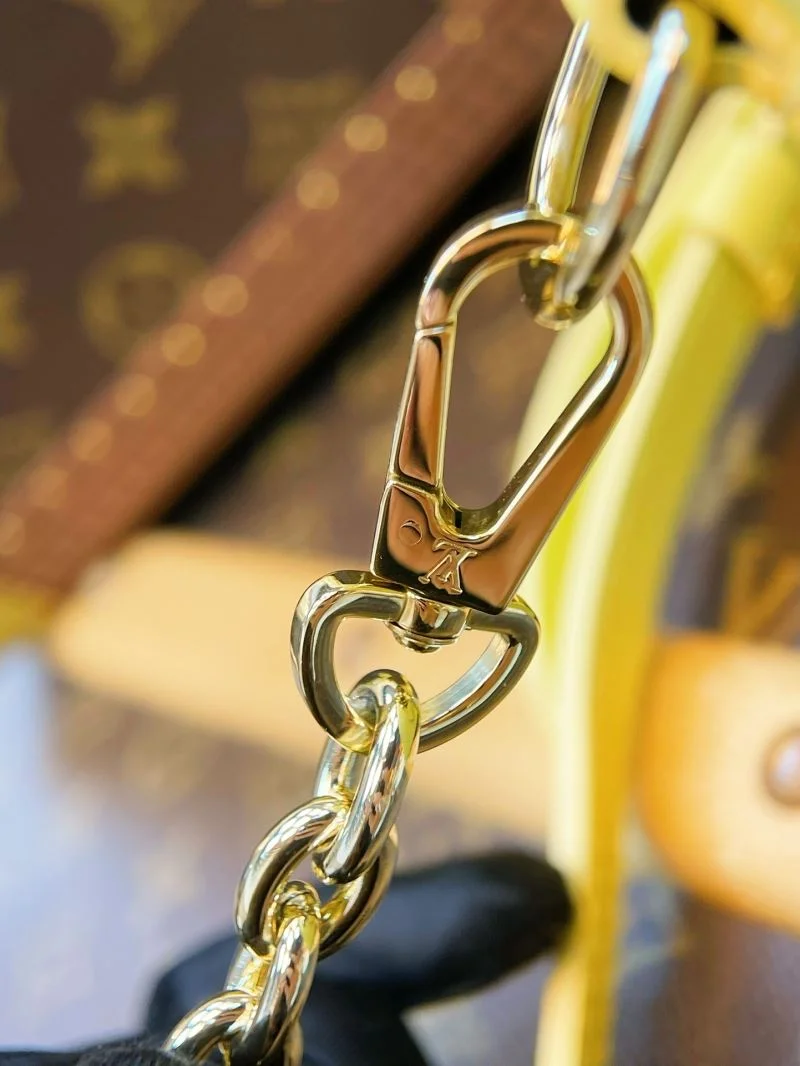 Accurate model Louis Vuitton Speedy Bags