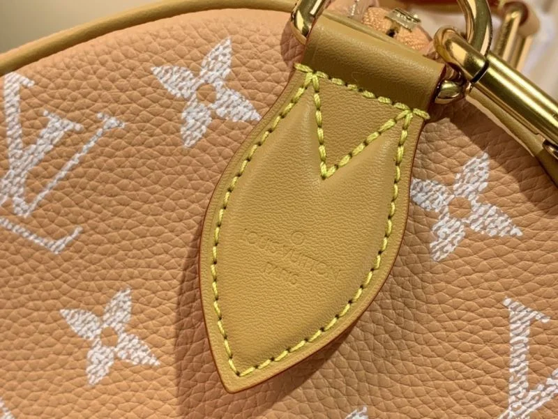 Economical Louis Vuitton Speedy Bags