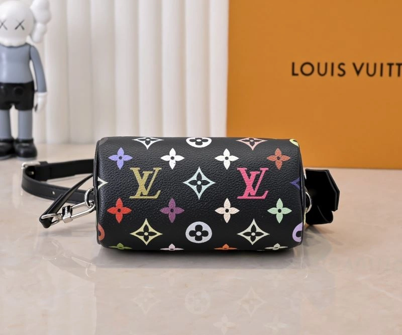 Reasonably priced Louis Vuitton Speedy Bags