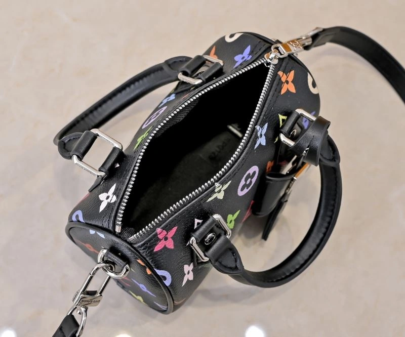 Reasonably priced Louis Vuitton Speedy Bags