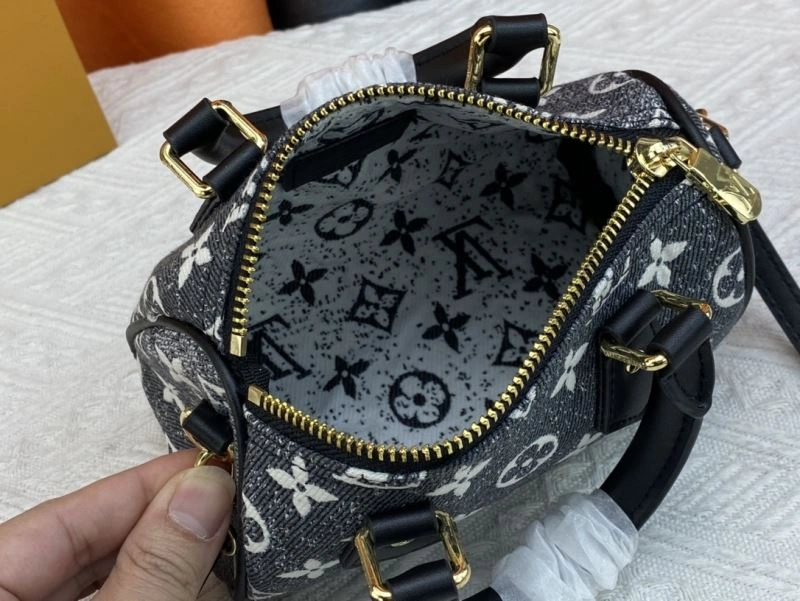 Mirror quality Louis Vuitton Speedy Bags