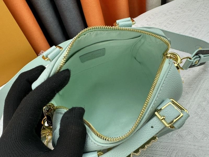 Low-cost Louis Vuitton Speedy Bags