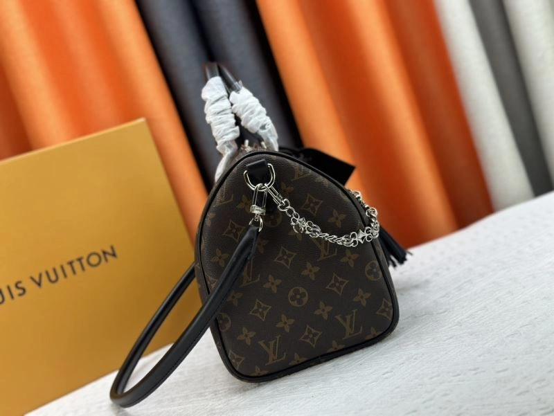 Accurate model Louis Vuitton Speedy Bags