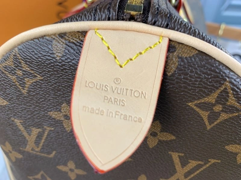 1:1 copy Louis Vuitton Speedy Bags