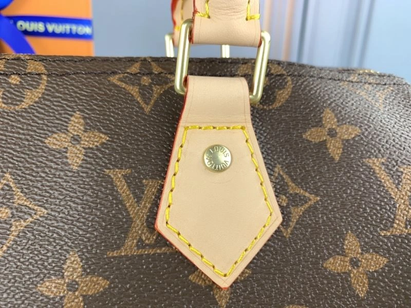 1:1 copy Louis Vuitton Speedy Bags