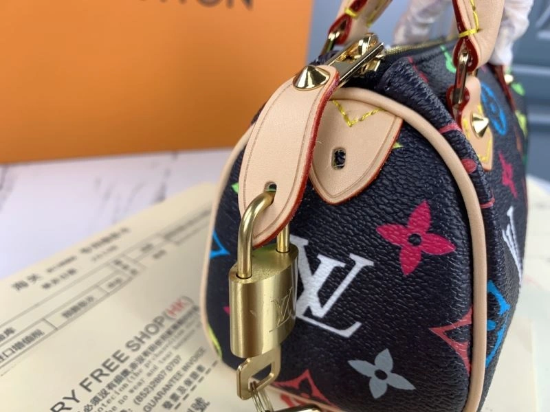 Reasonably priced Louis Vuitton Speedy Bags