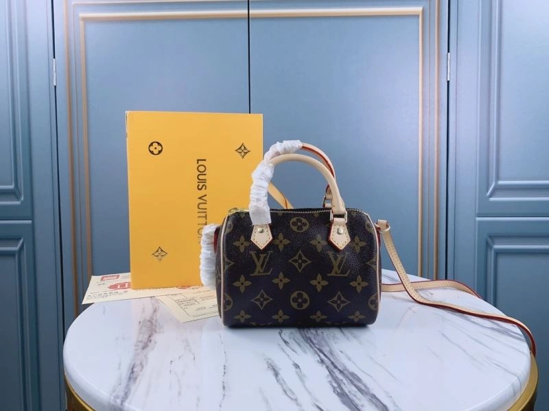 Budget-friendly Louis Vuitton Speedy Bags