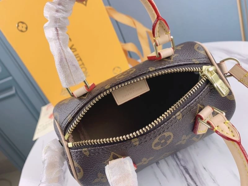 Budget-friendly Louis Vuitton Speedy Bags
