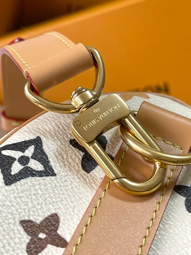 1:1 copy Louis Vuitton Speedy Bags