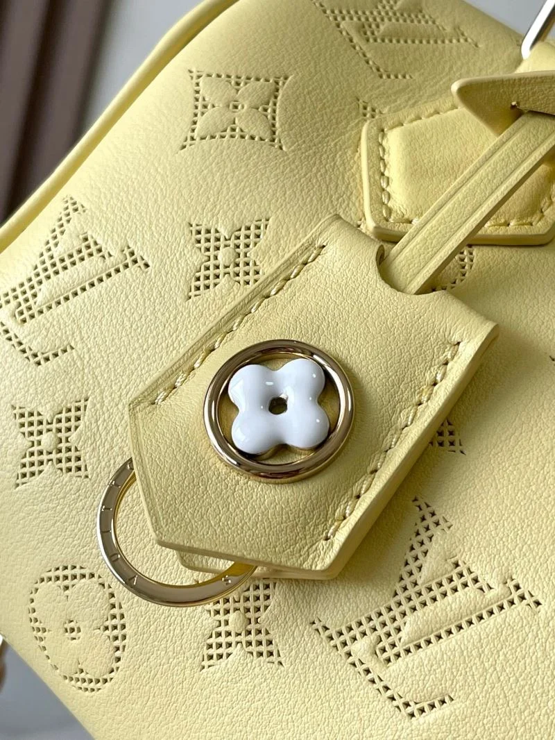 Affordable Louis Vuitton Speedy Bags