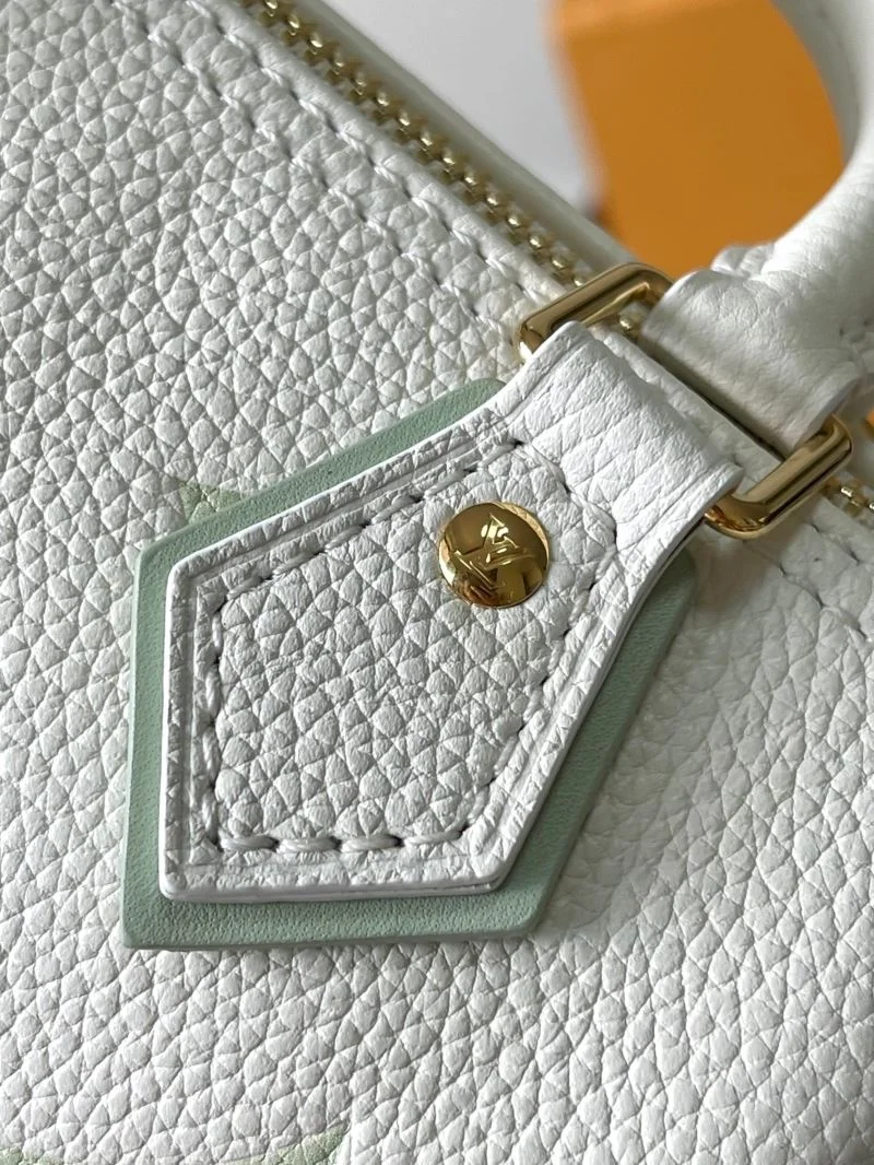 Economical Louis Vuitton Speedy Bags