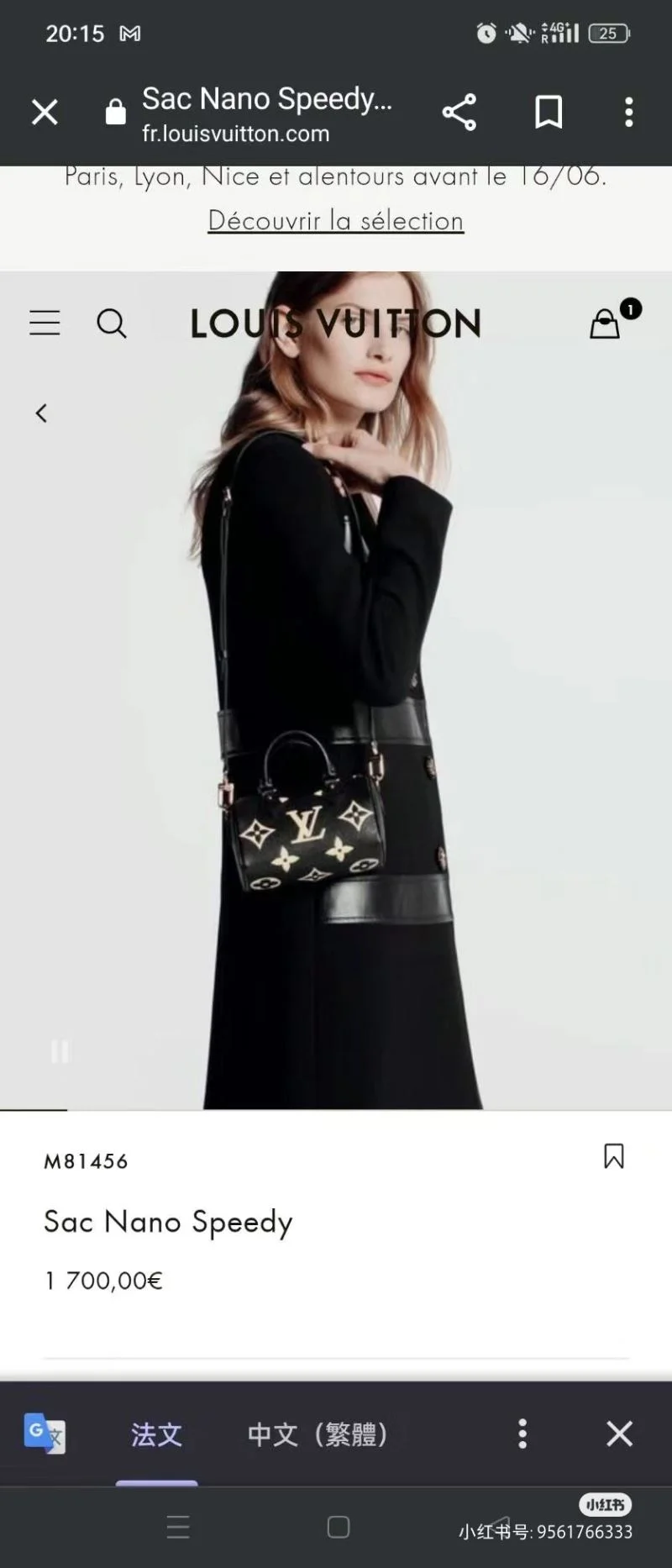 Accurate model Louis Vuitton Speedy Bags