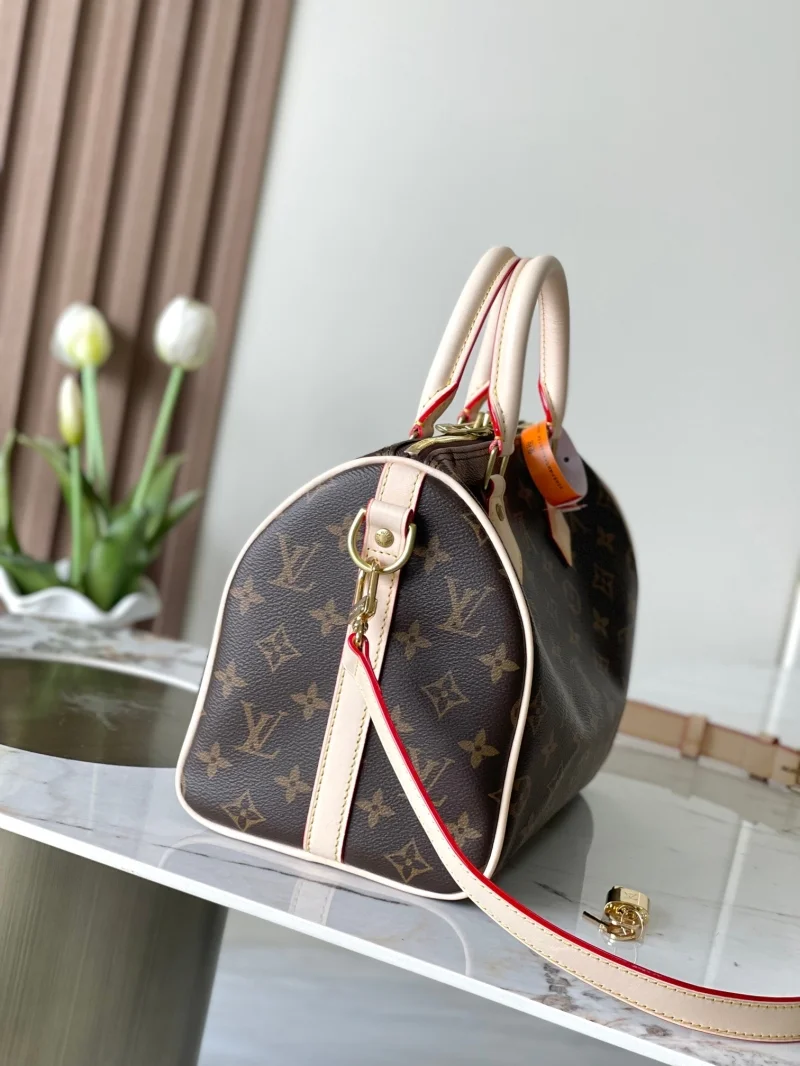Inexpensive Louis Vuitton Speedy Bags