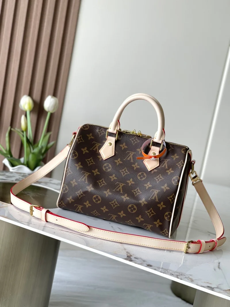 Inexpensive Louis Vuitton Speedy Bags