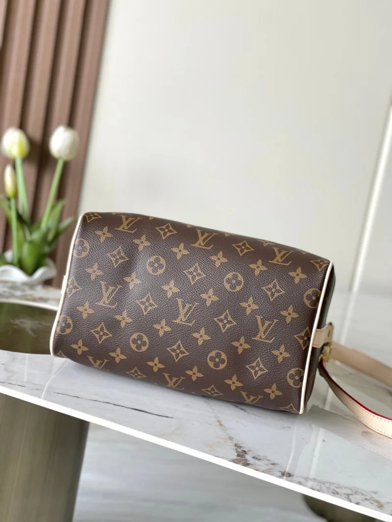 Inexpensive Louis Vuitton Speedy Bags