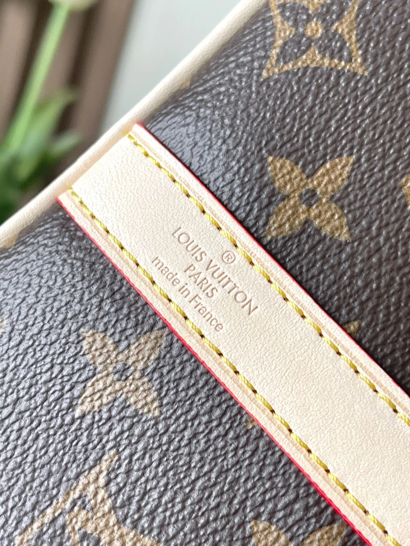 Inexpensive Louis Vuitton Speedy Bags