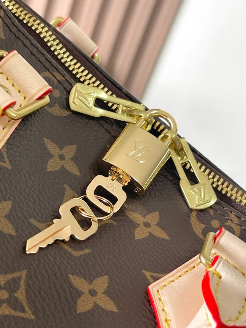 Inexpensive Louis Vuitton Speedy Bags