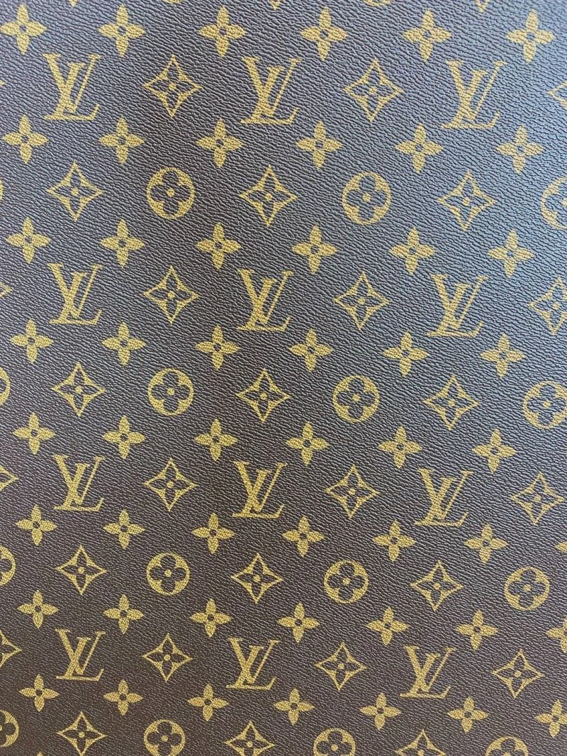 Top match Louis Vuitton Suitcase