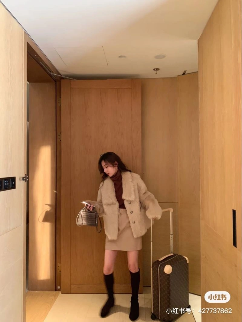 Low-cost Louis Vuitton Suitcase