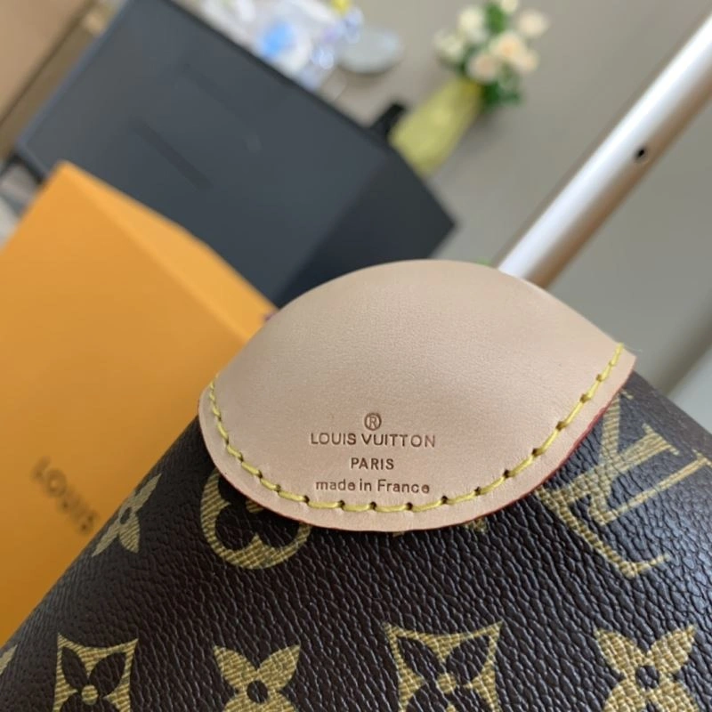 Top match Louis Vuitton Suitcase