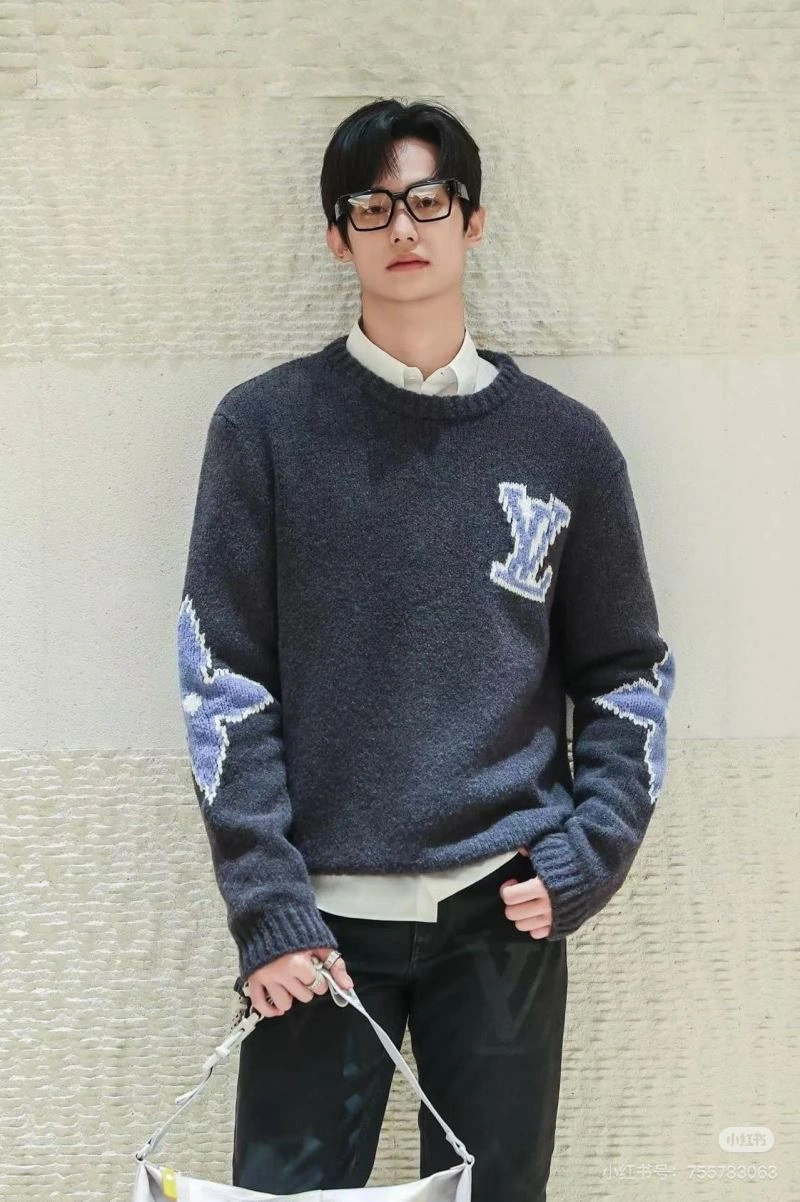 Budget-friendly Louis Vuitton Sweaters