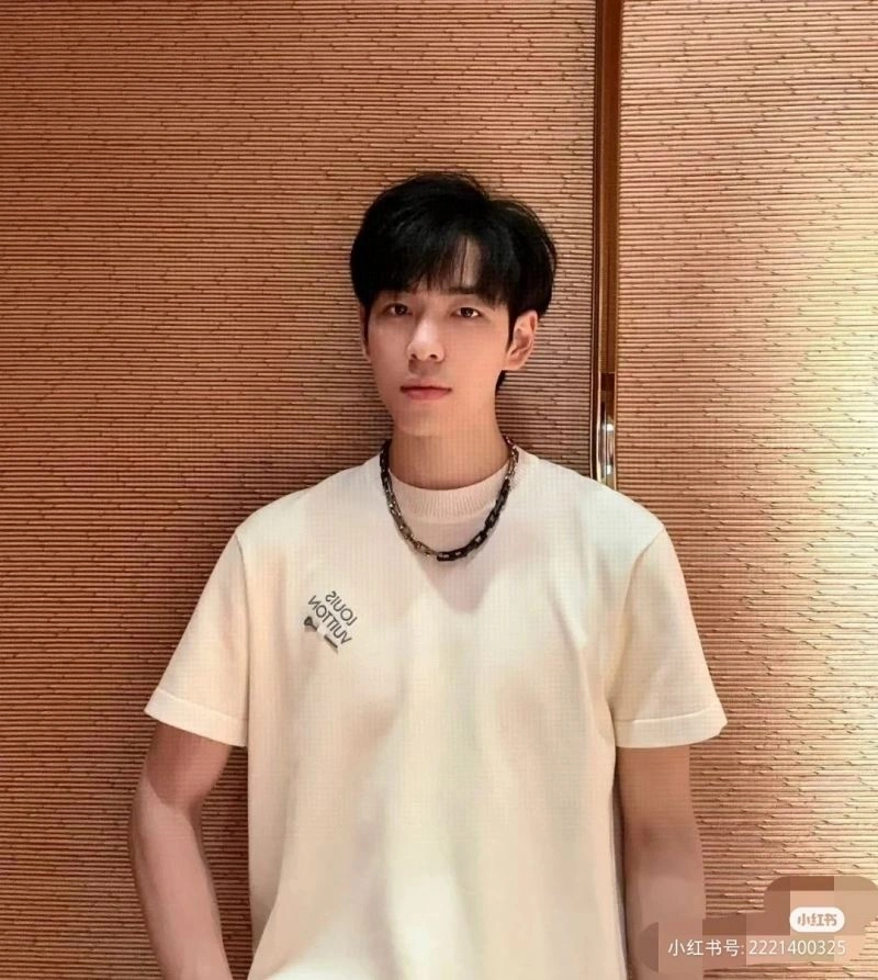 Exact replica Louis Vuitton T-Shirts