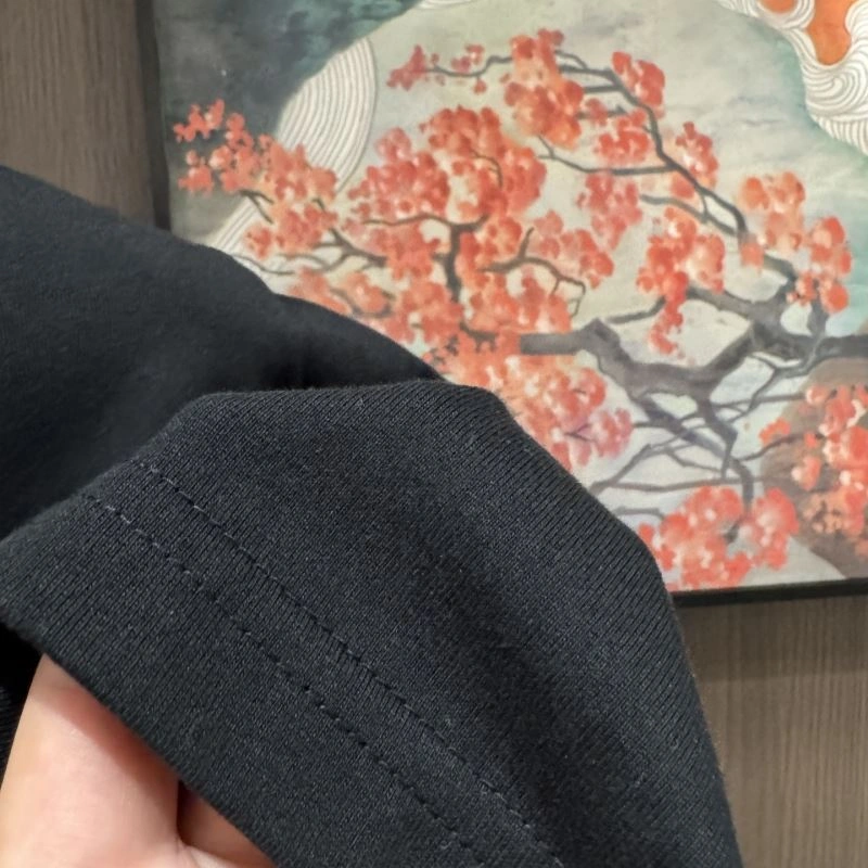 Reasonably priced Louis Vuitton T-Shirts