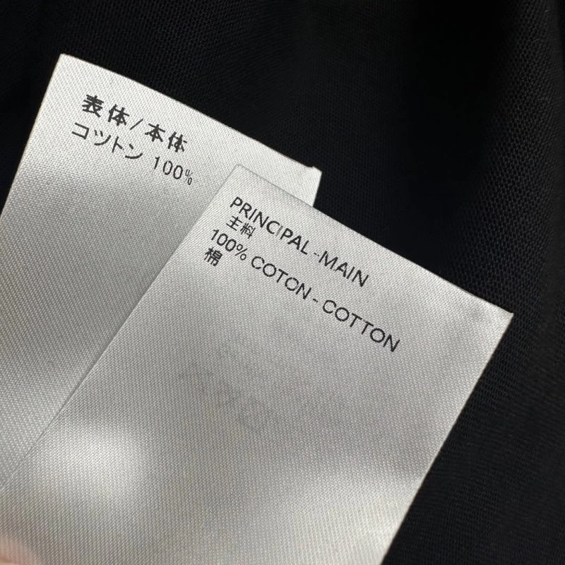 Accurate model Louis Vuitton T-Shirts