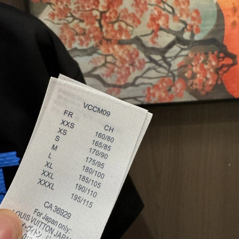 Reasonably priced Louis Vuitton T-Shirts
