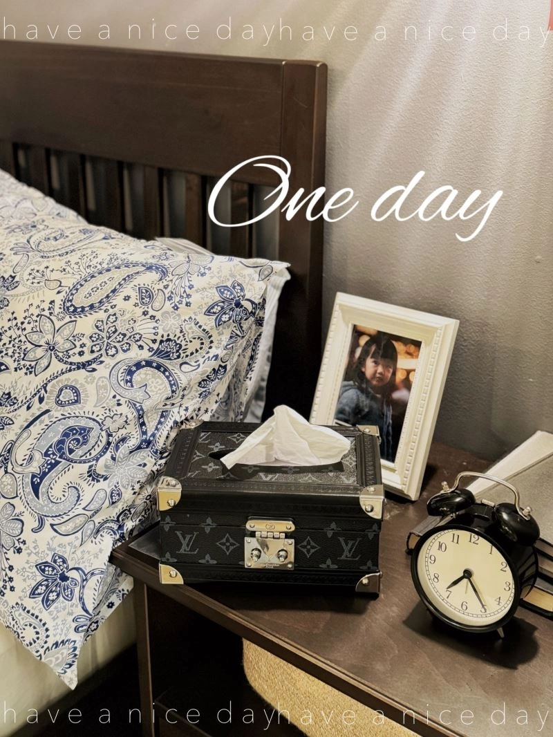 Louis Vuitton Tissue Boxes