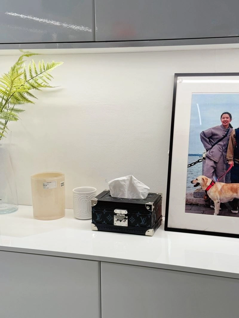 Affordable Louis Vuitton Tissue Boxes