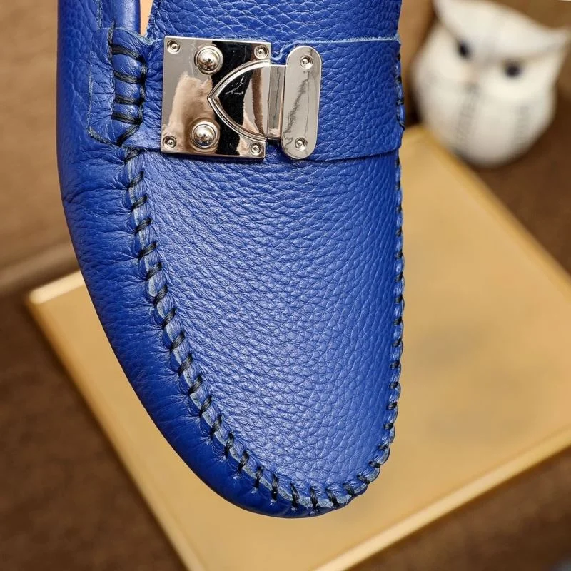 Budget-friendly Louis Vuitton Tods Shoes