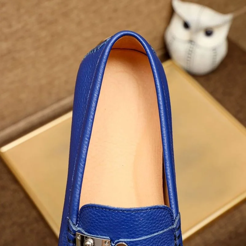 Budget-friendly Louis Vuitton Tods Shoes