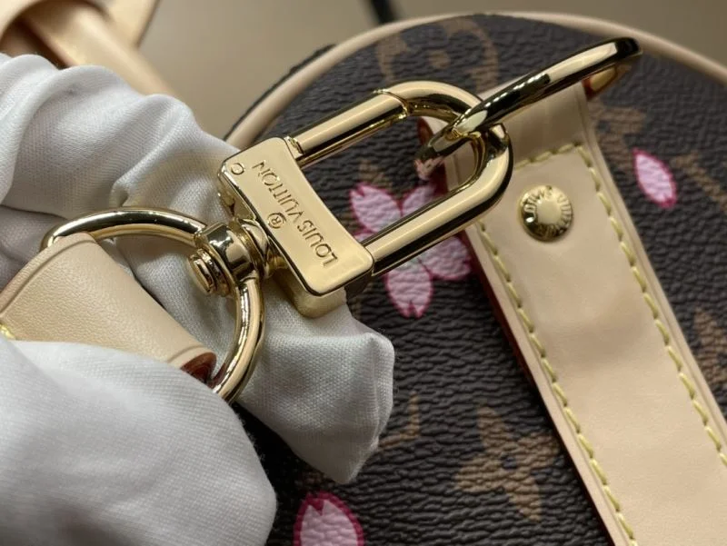 High accuracy Louis Vuitton Travel Bags