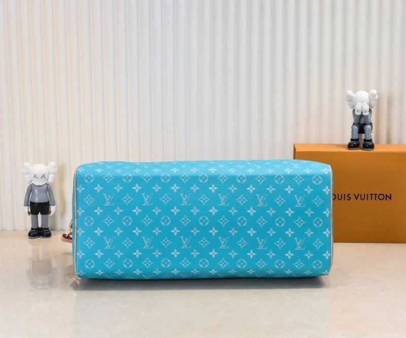 High accuracy Louis Vuitton Travel Bags
