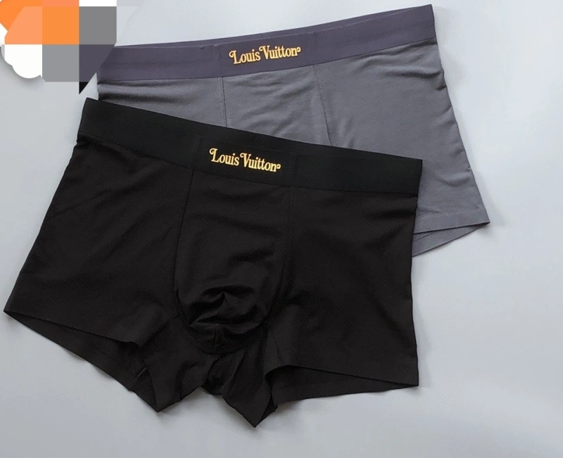 Inexpensive Louis Vuitton Underwear
