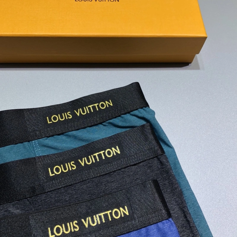 Budget-friendly Louis Vuitton Underwear