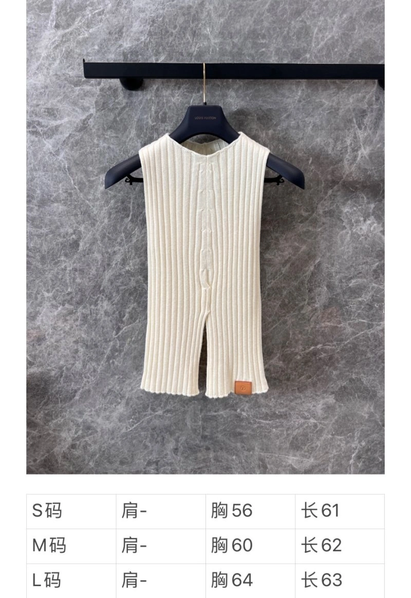 High accuracy Louis Vuitton Vest