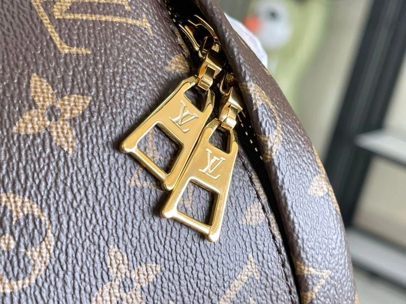 Accurate model Louis Vuitton Waist Chest Packs