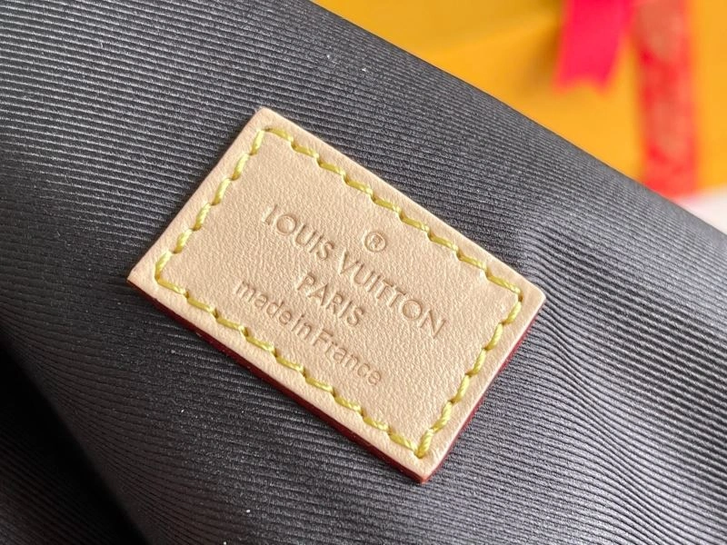 Accurate model Louis Vuitton Waist Chest Packs