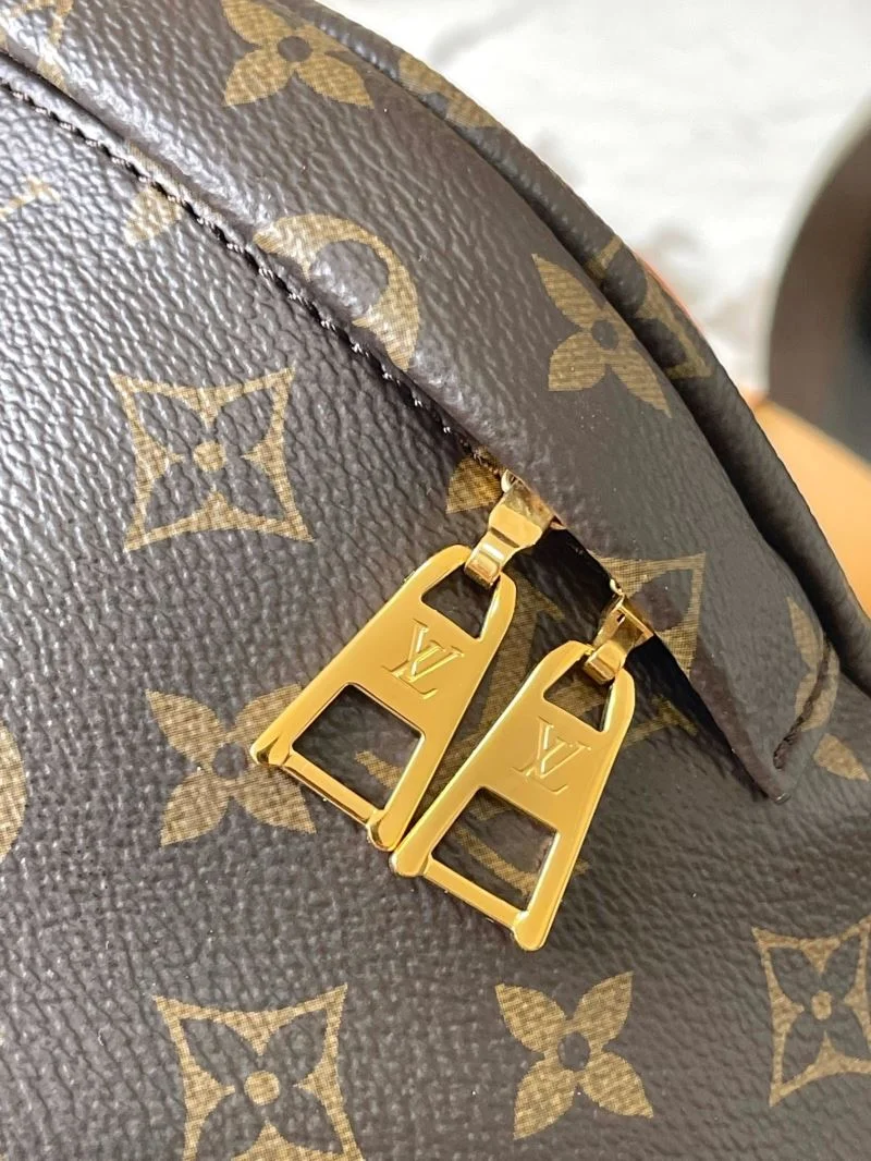 Budget-friendly Louis Vuitton Waist Chest Packs